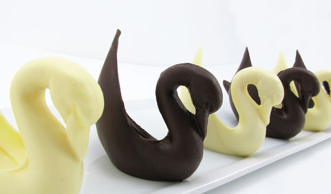 Swan - Brilliant | Chocolates A La Carte