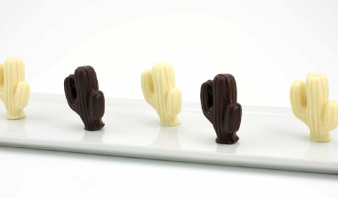 Cactus | Chocolates A La Carte